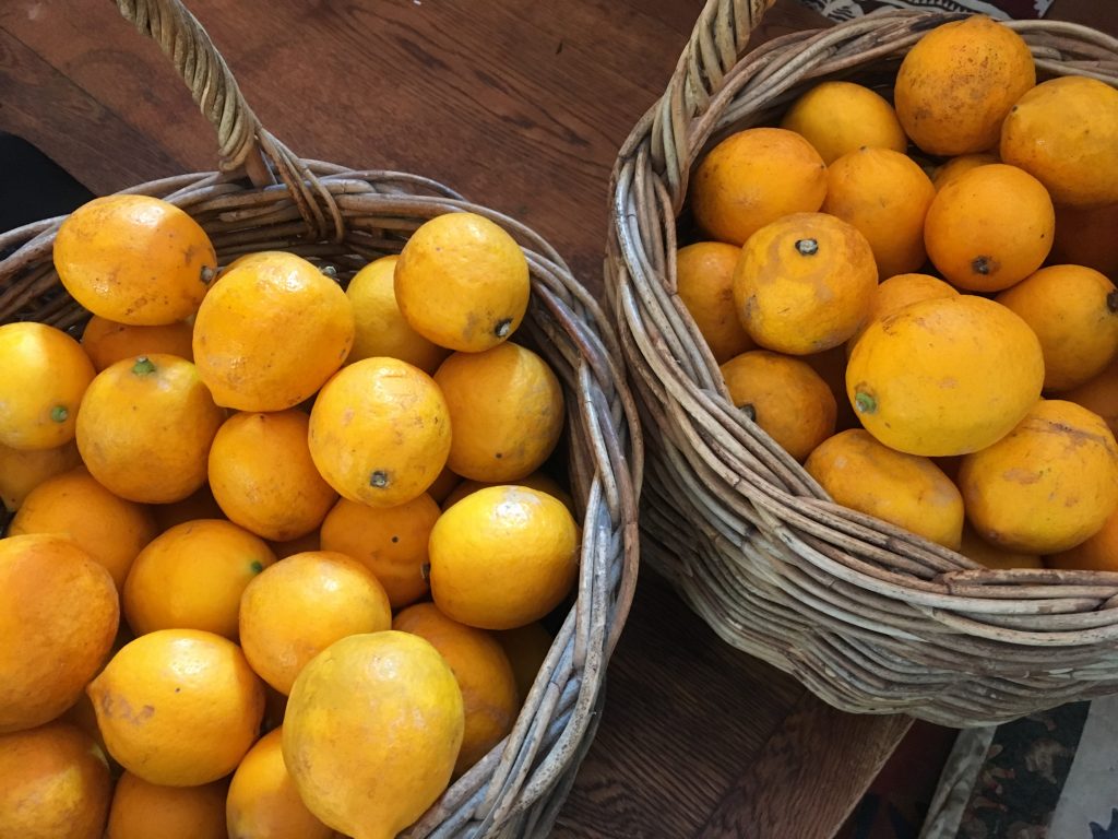 Making Your Own MIXED PEEL Is A Breeze